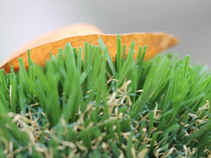 Reduce Your Lawn Care Instantly: Emerald-92 Stem Grass