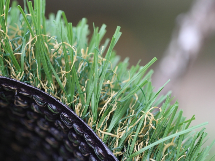 Reduce Your Lawn Care Instantly: Emerald-92 Stem Grass